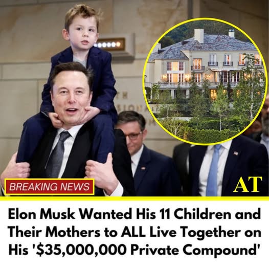 Elon Musk’s Bold Plan: $35 Million Compound for His 11 Children and ...
